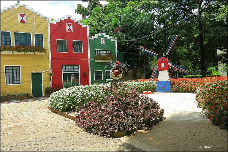 Conheça Holambra, a cidade das flores em São Paulo