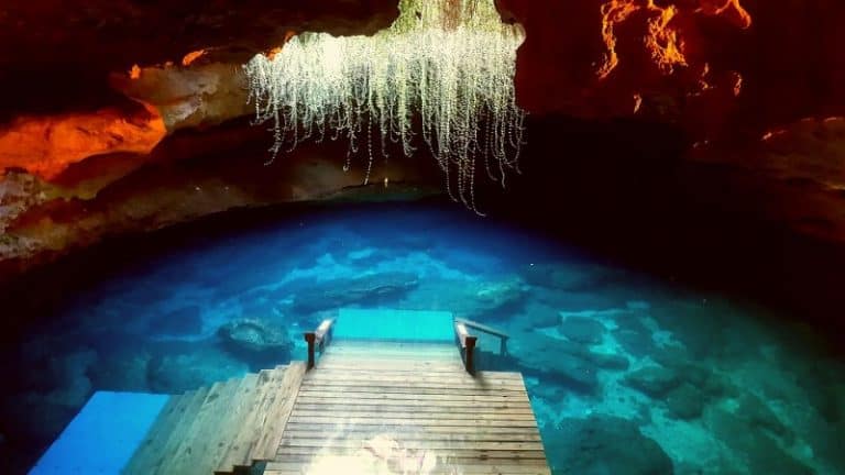 Devil’s Den Prehistoric Spring: cenote exuberante a 160 km de Orlando