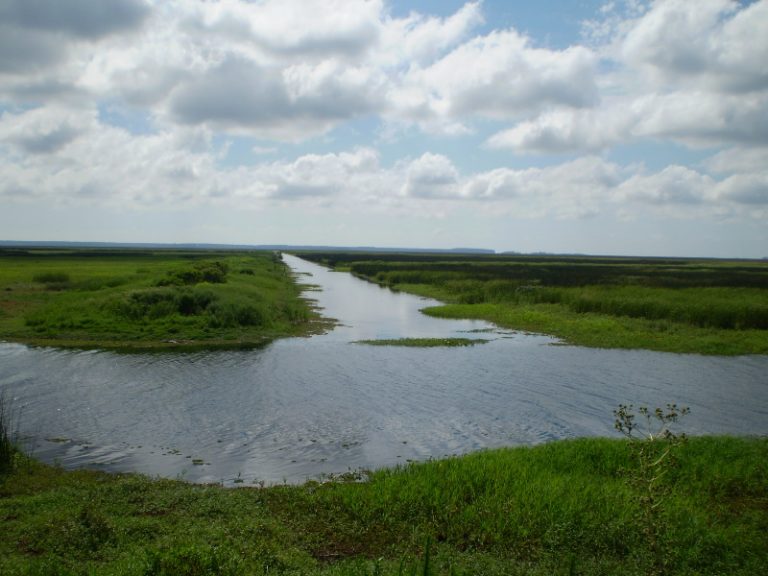 Estação Ecológica do Taim no RS une natureza e beleza selvagem